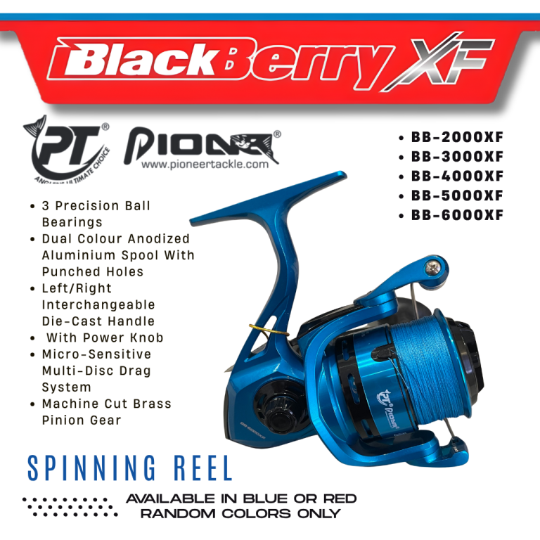 Pioneer Black Berry XF Spinning Reel 2000 3000 4000 5000 6000 Series ...